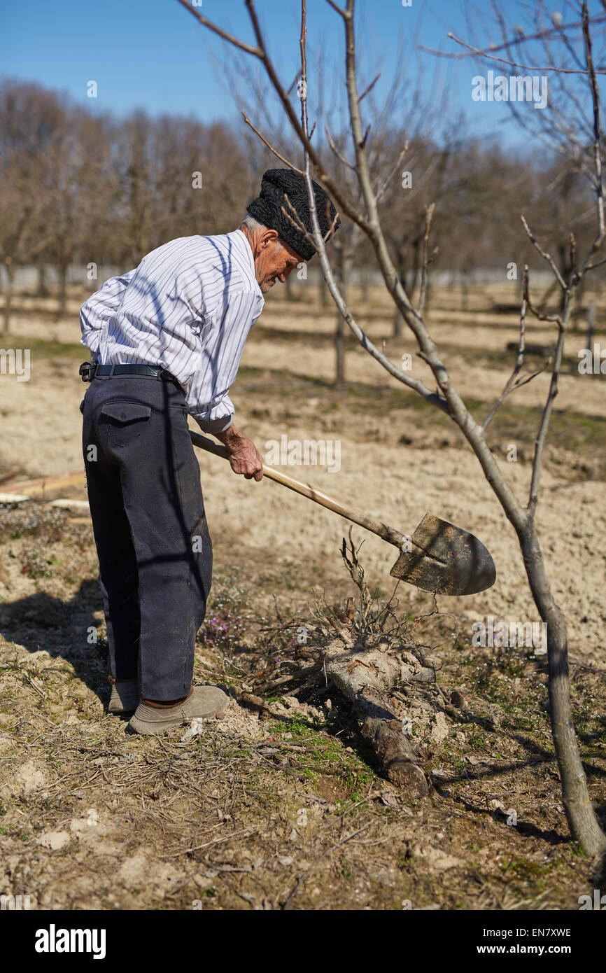 Old man digging ground hi-res stock photography and images - Alamy
