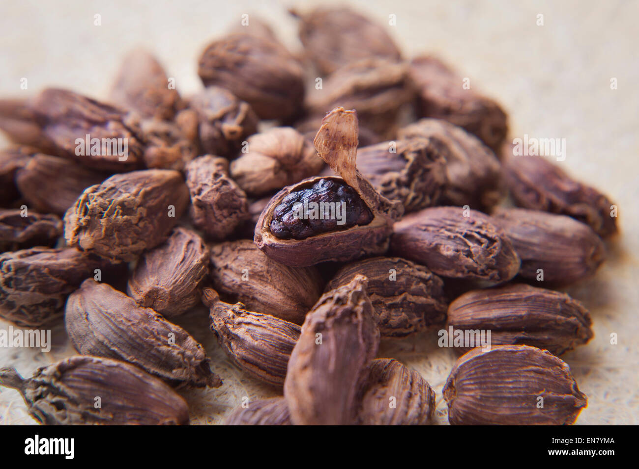 Close-up of a black cardamom Stock Photo - Alamy