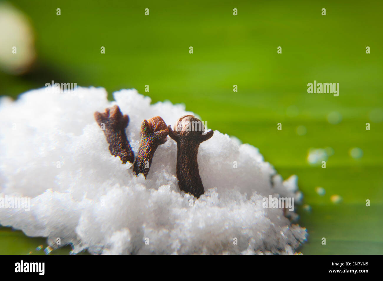 Close-up of three cloves and salt Stock Photo - Alamy