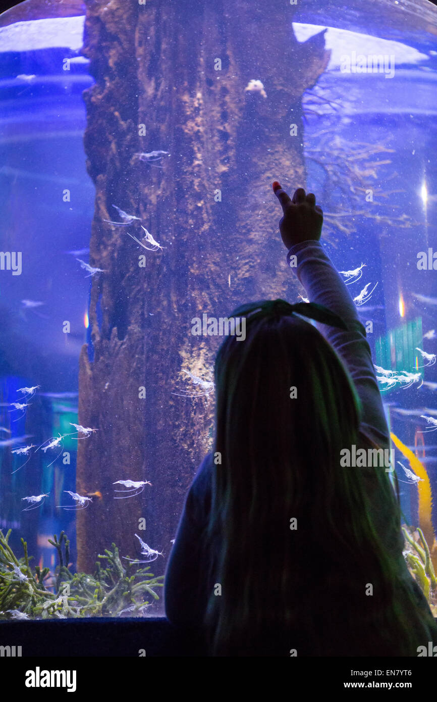 Young women pointing fish Stock Photo - Alamy