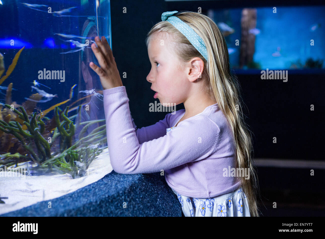 Young woman looking at fish in tank Stock Photo - Alamy
