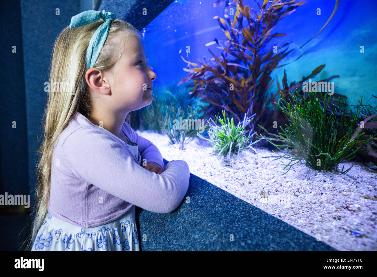 Happy young woman looking at fish Stock Photo - Alamy