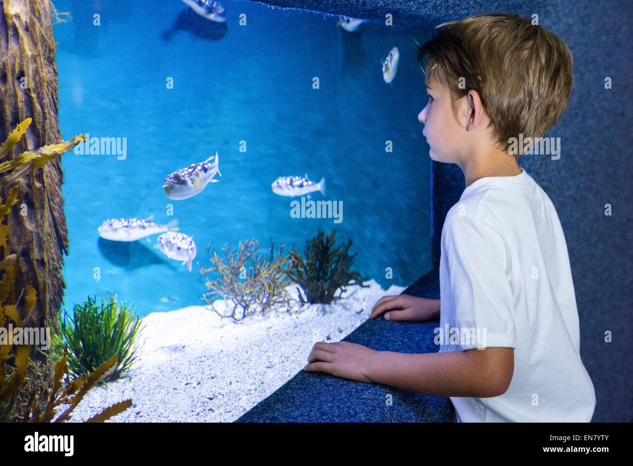 Young man in water underwater hi-res stock photography and images - Alamy