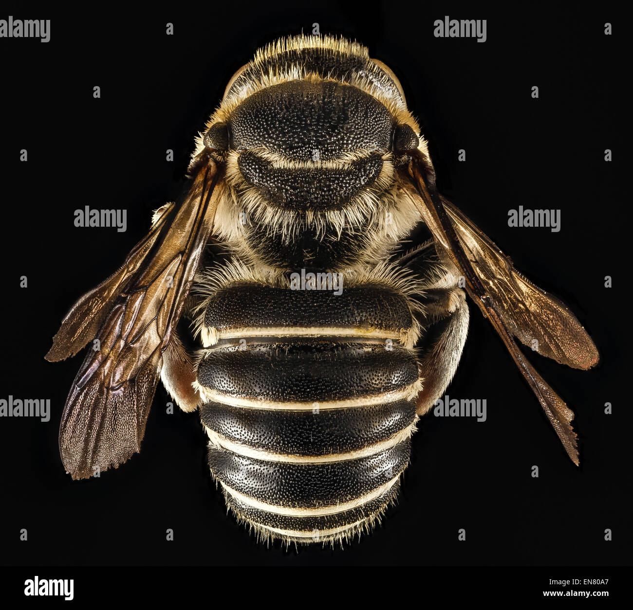 Baker county georgia hi-res stock photography and images - Alamy