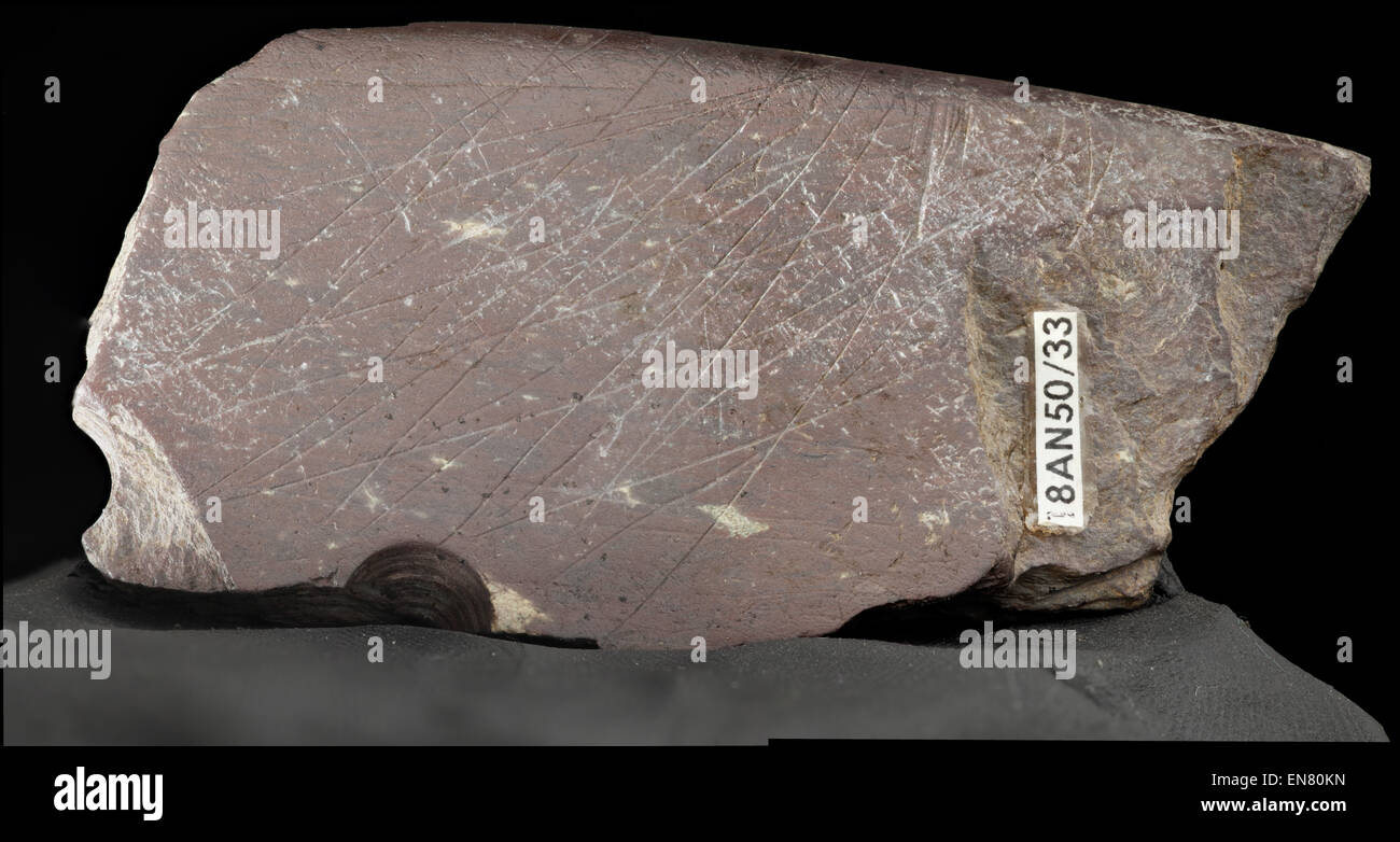 A ritually killed gorget fragment from the Adena culture was discovered ...