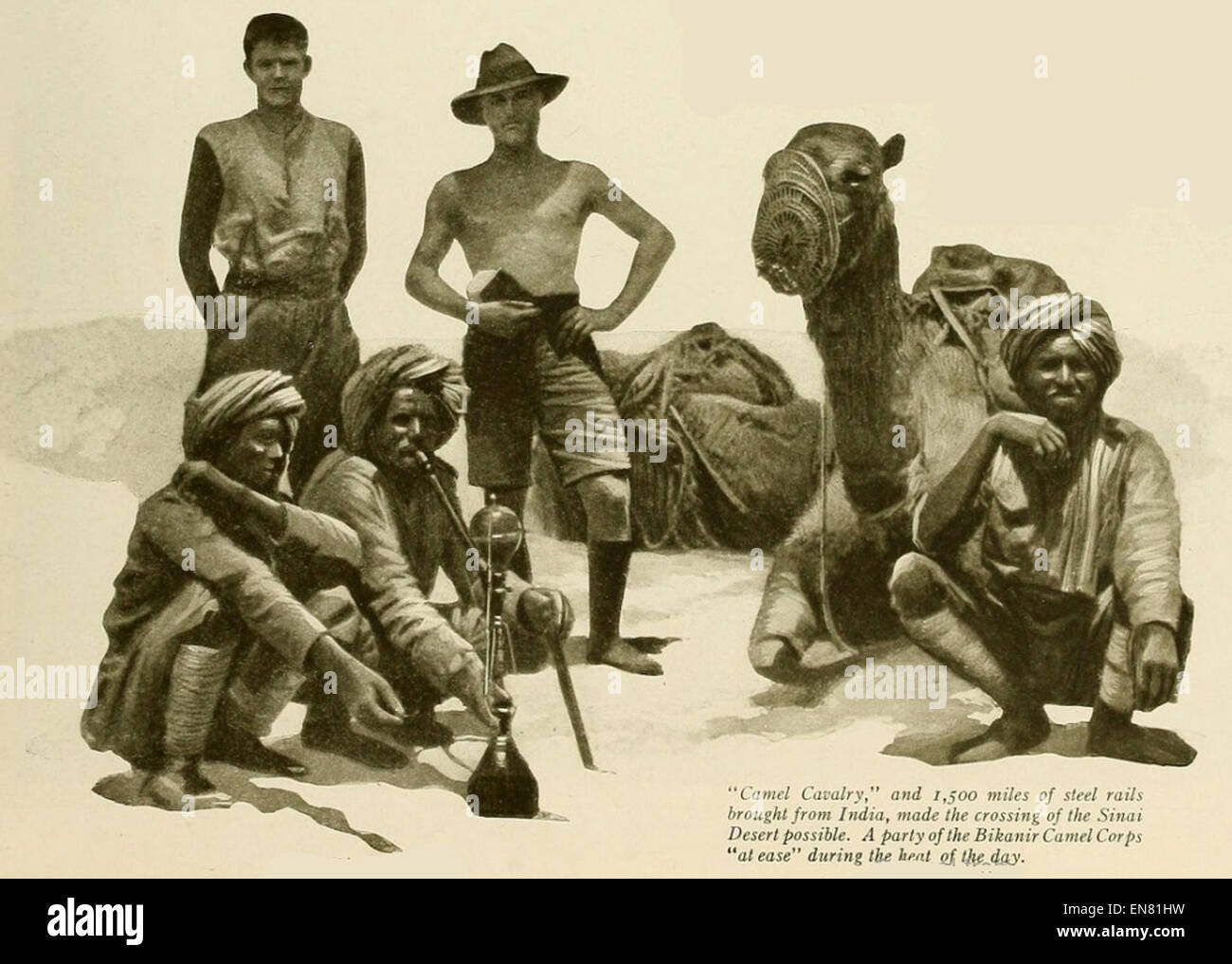 Troops camel in the desert hi-res stock photography and images - Alamy