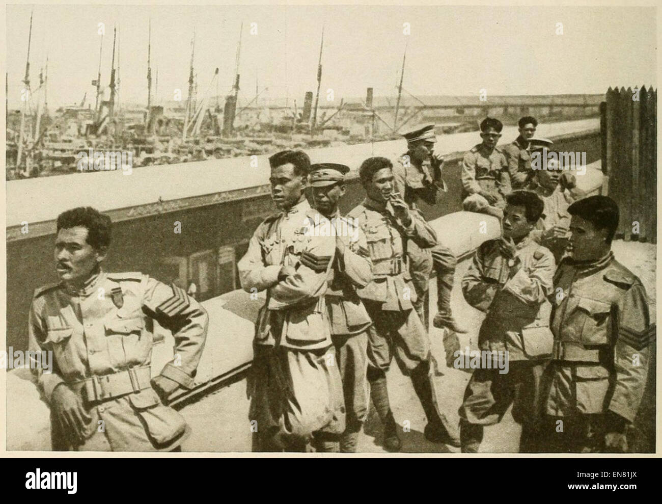 Siamese history hi-res stock photography and images - Alamy