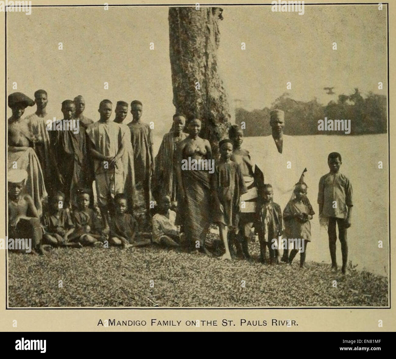 A 1907 illustration by Johnston depicting a Mandingo family on the St ...