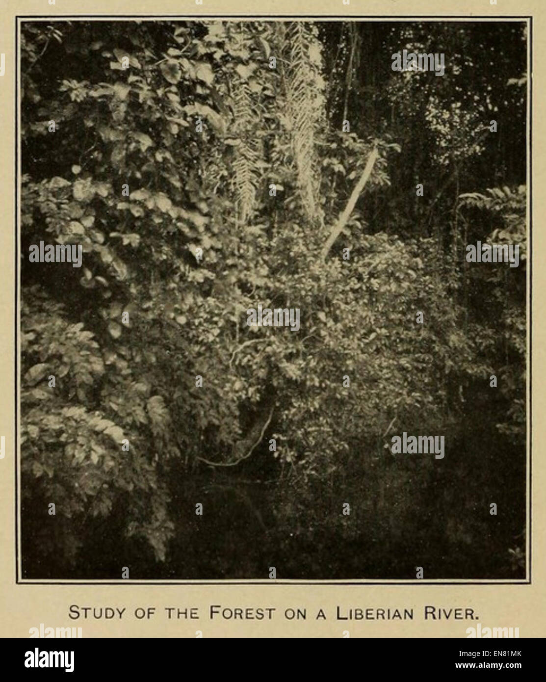 1907 map hi-res stock photography and images - Alamy
