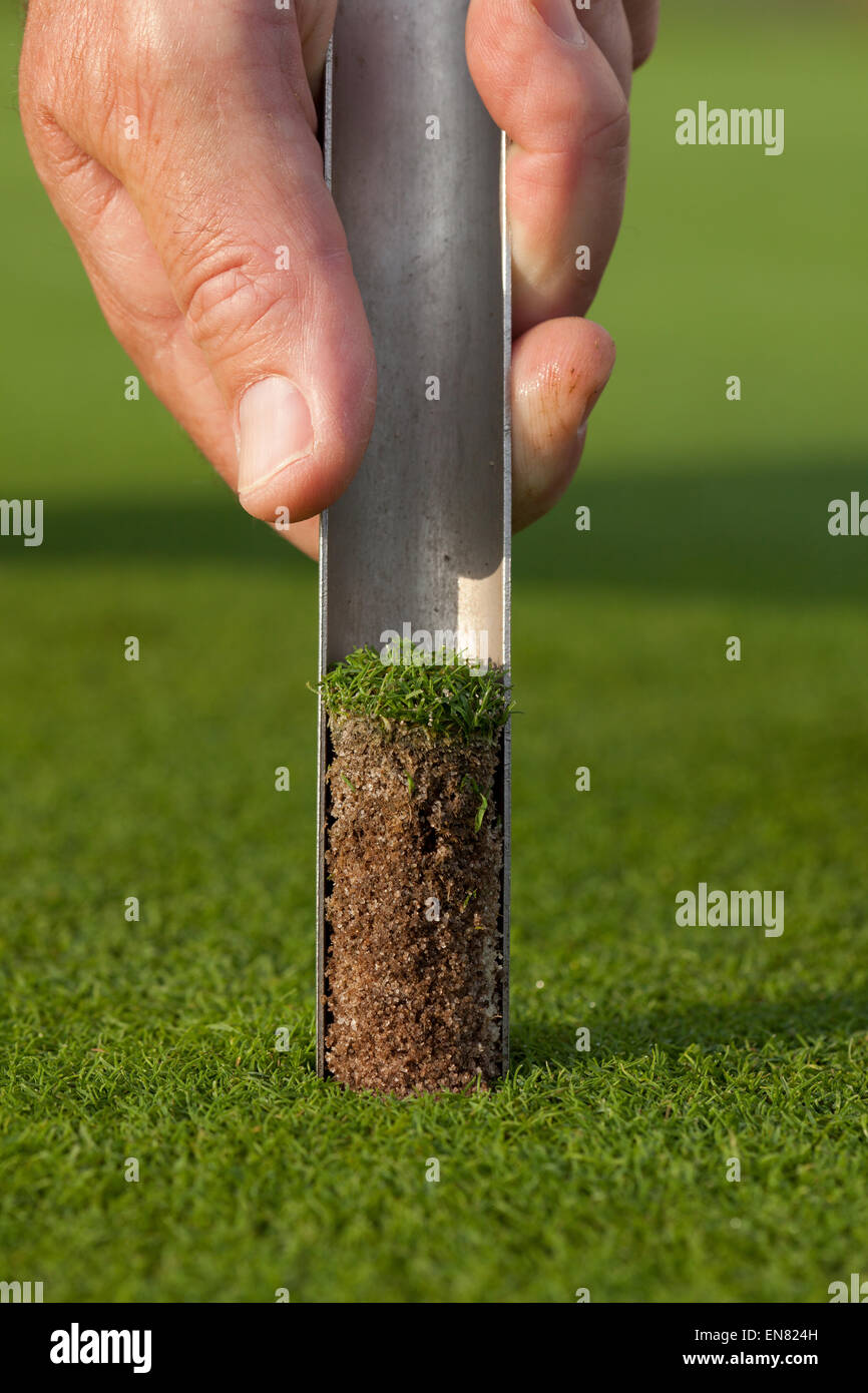 Soil sampling of golf course turf Stock Photo - Alamy