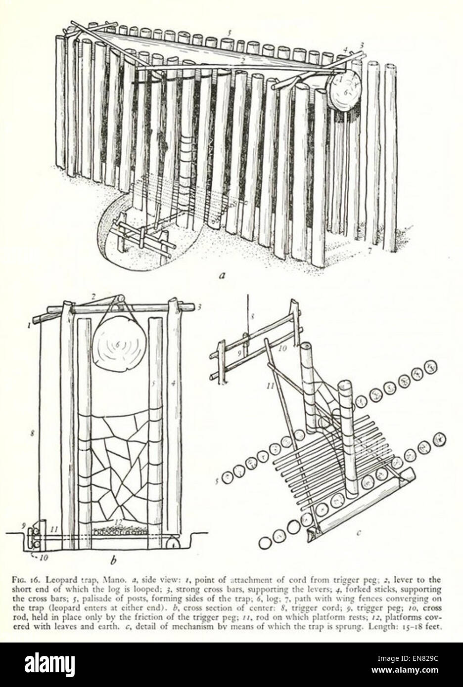 Vintage animal traps hi-res stock photography and images - Alamy
