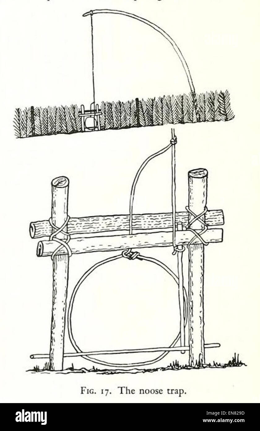 This 1947 figure by Schwab illustrates a noose trap, a traditional ...