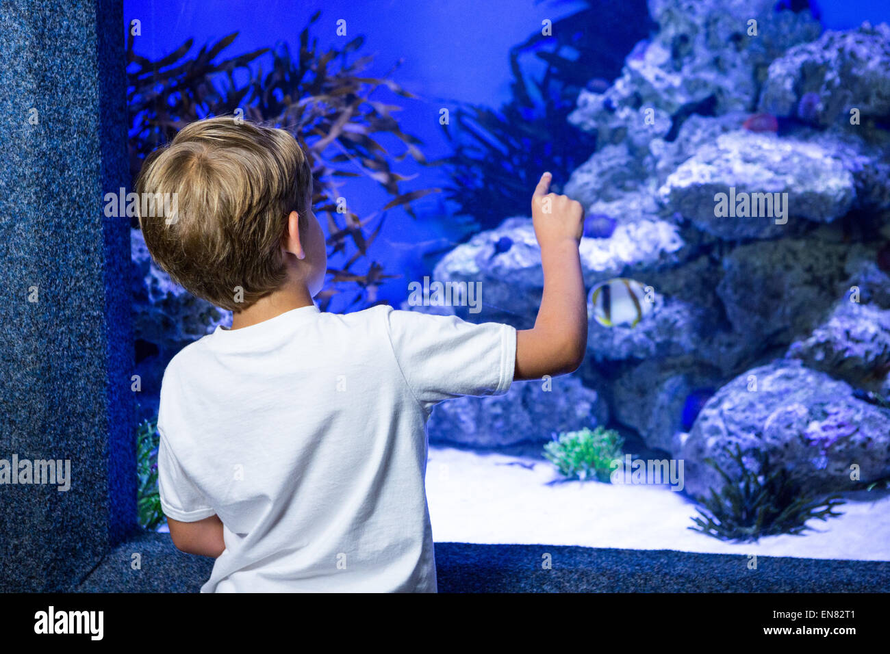 Young man pointing a stone in a tank Stock Photo - Alamy