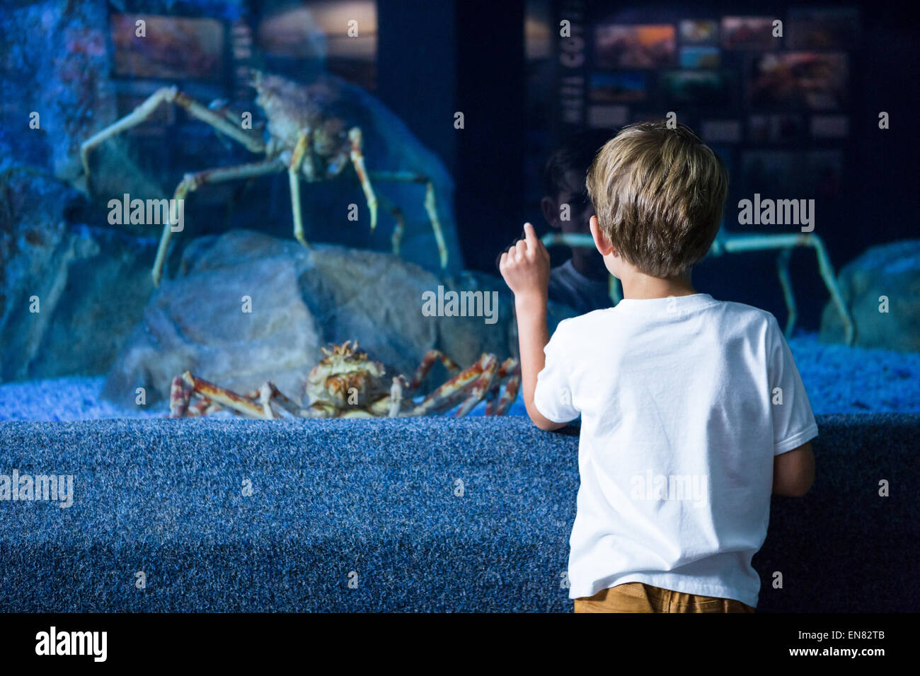 Young man pointing a giant crab Stock Photo - Alamy