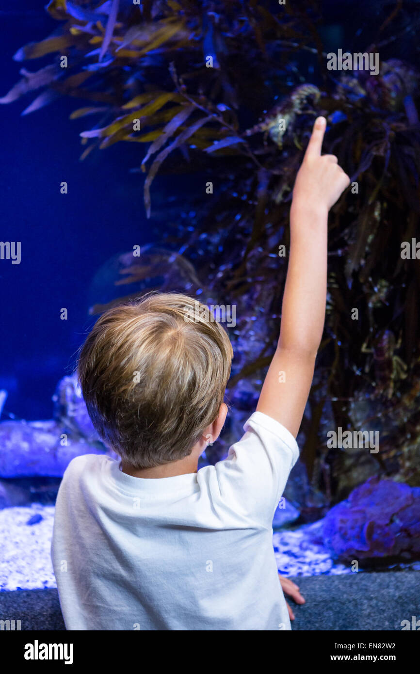 Young man pointing something in a tank Stock Photo - Alamy