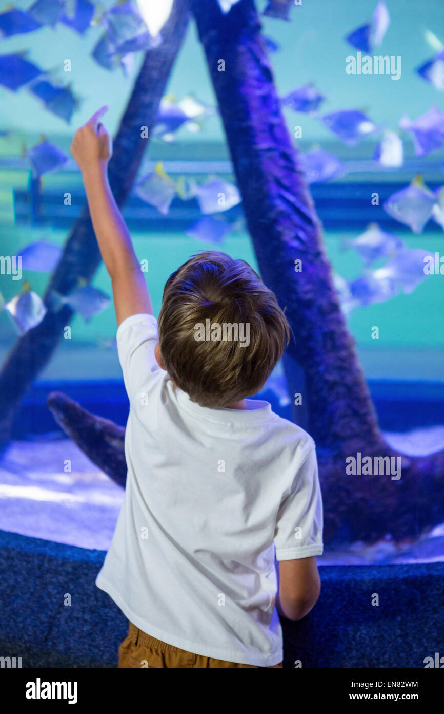 Young man pointing a fish with his finger Stock Photo - Alamy