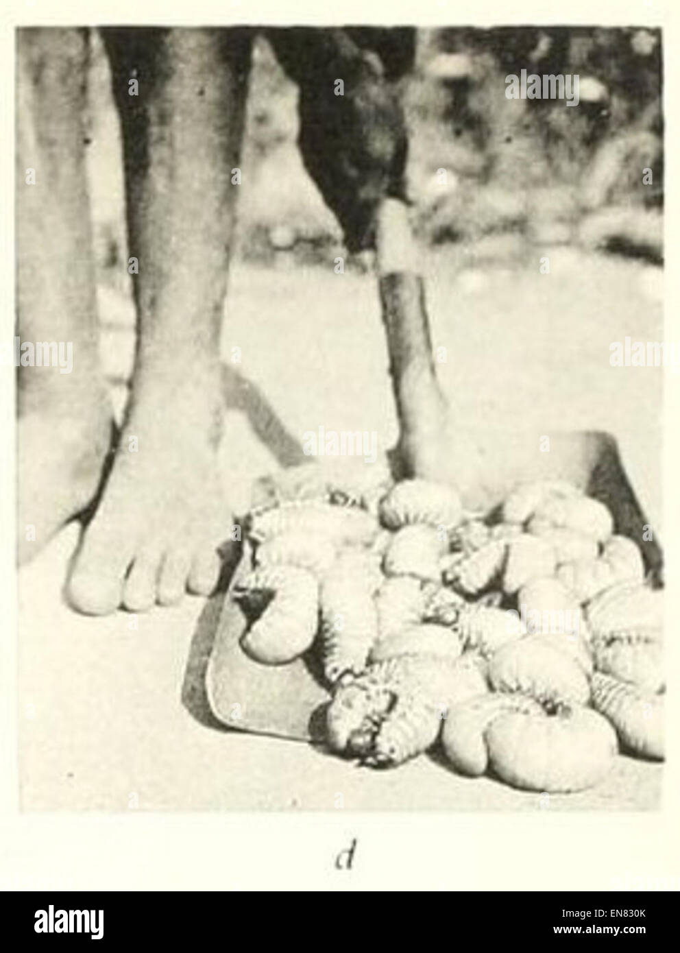 A 1947 photograph from 'Tribes of the Liberian Hinterland' by George ...
