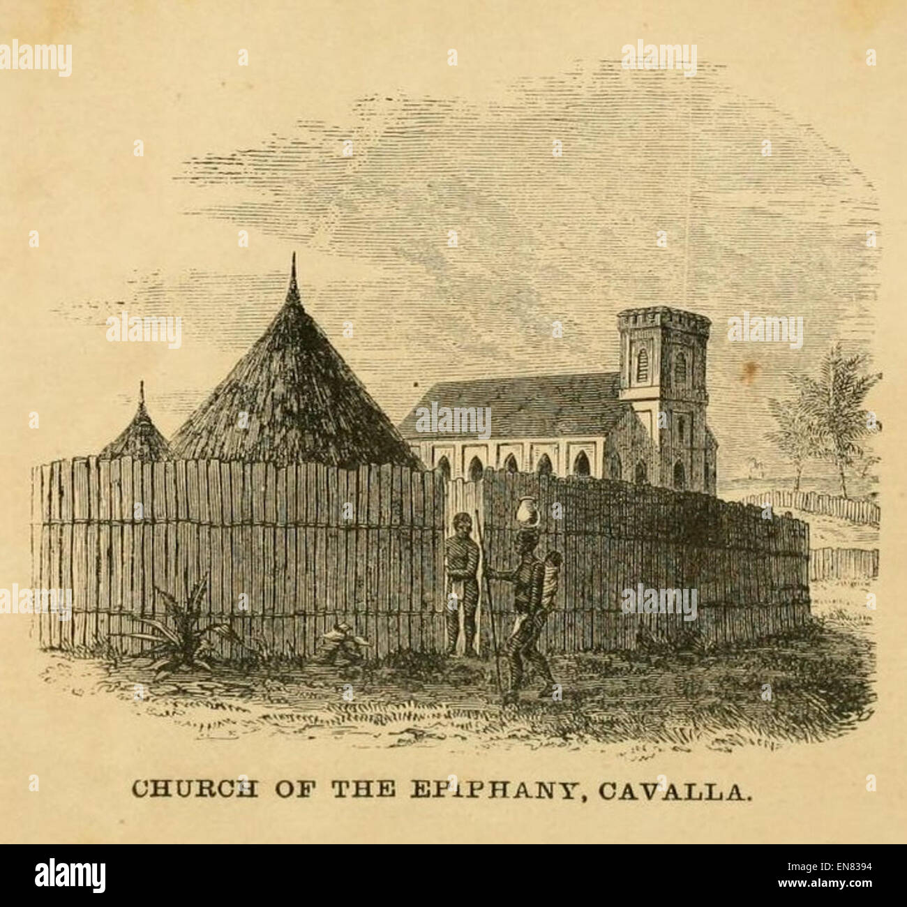 Cavalla hi-res stock photography and images - Alamy