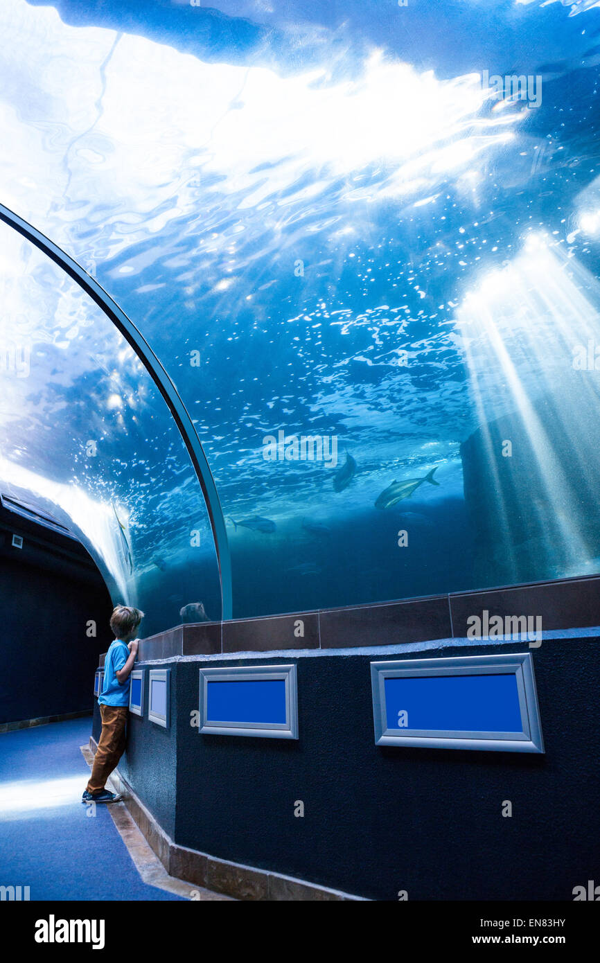 Tunnel tank hi-res stock photography and images - Alamy