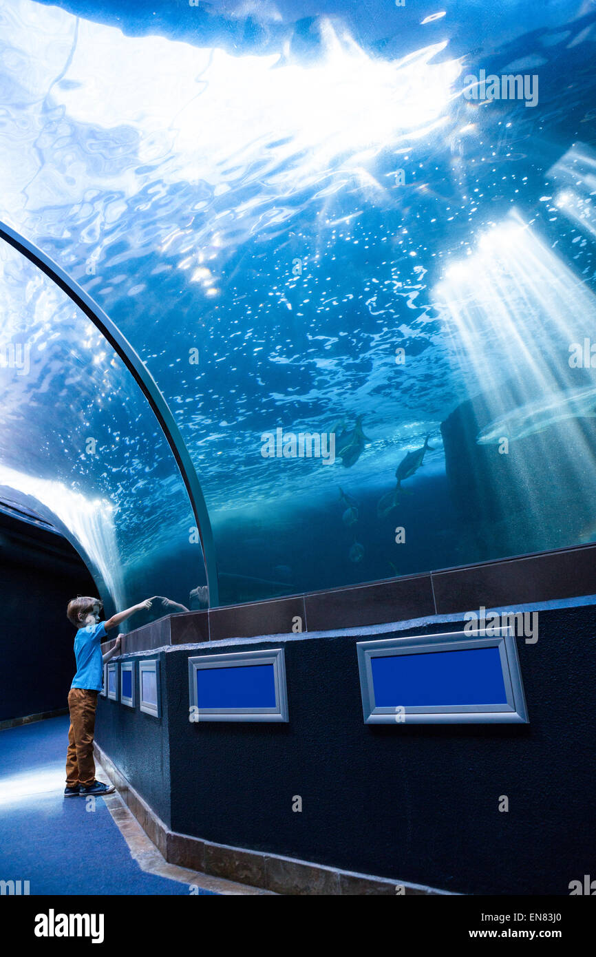 Tunnel tank hi-res stock photography and images - Alamy