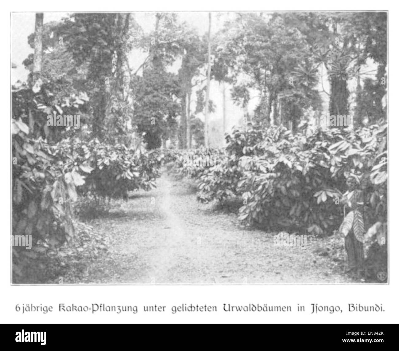 Light from six Cut Out Stock Images & Pictures - Alamy