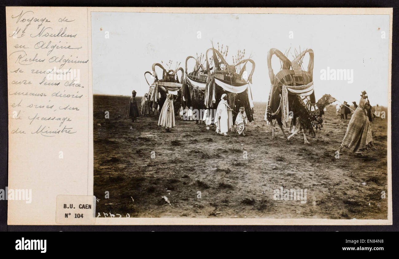 This is an identification reference number associated with a specific image or object, possibly ...