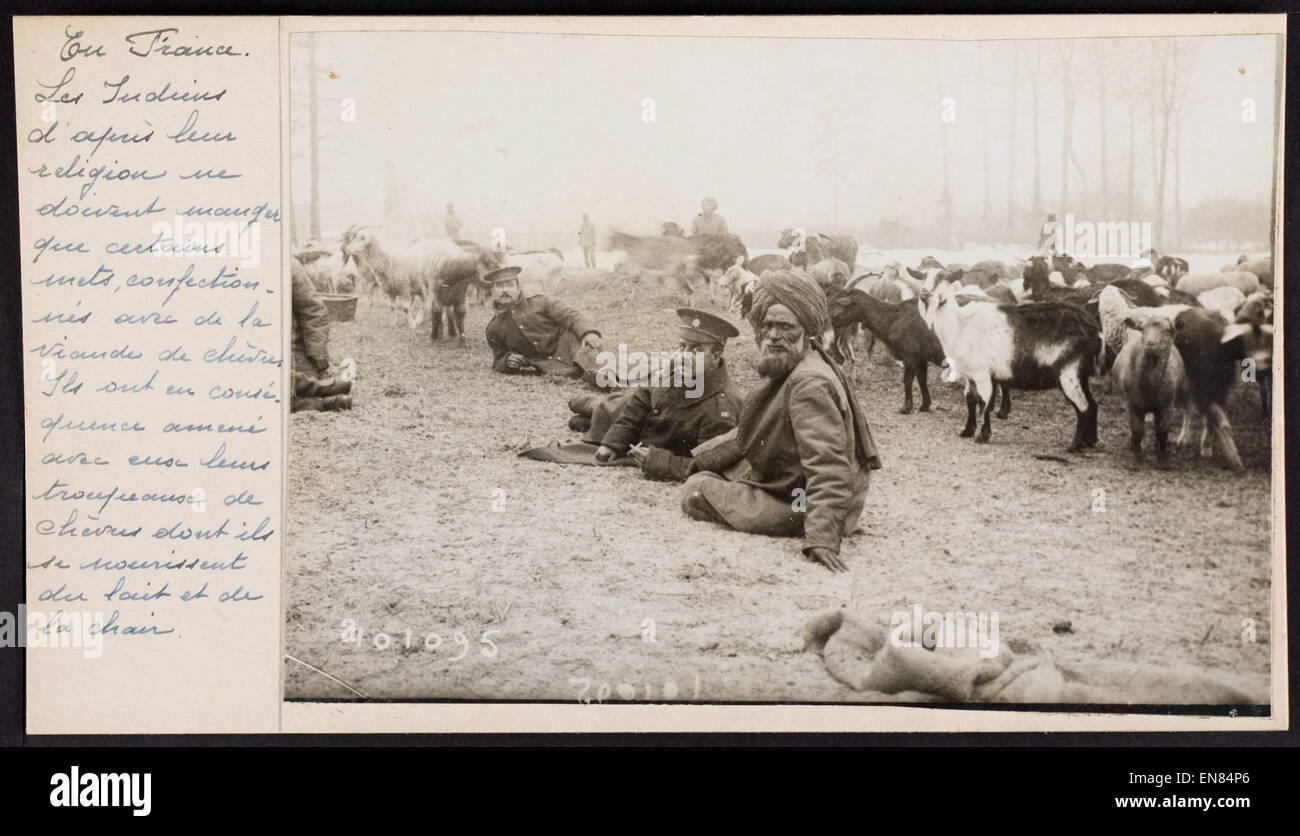 This reference appears to be a unique identifier, possibly for an object or dataset. No further ...