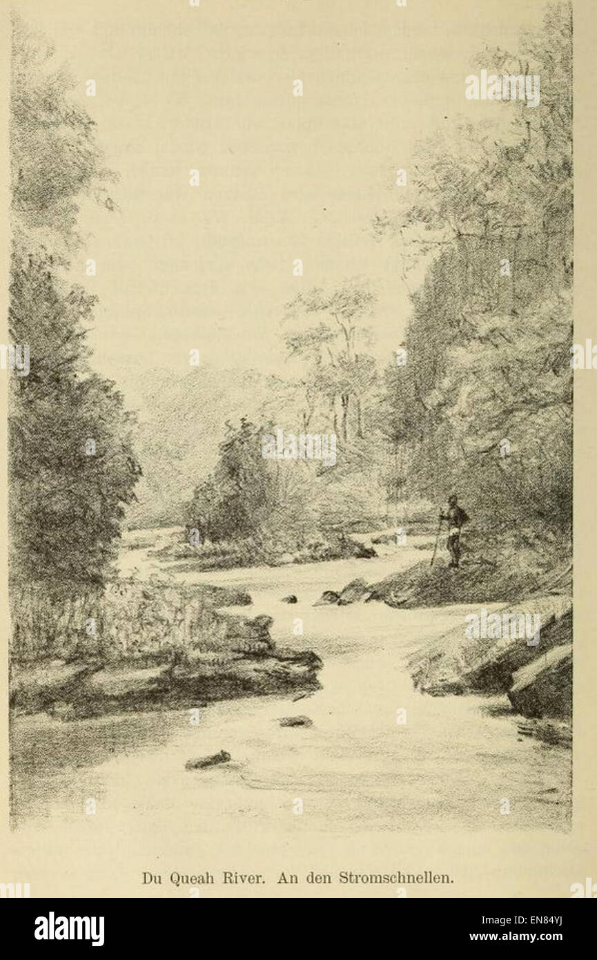 Ttikofer hi-res stock photography and images - Alamy