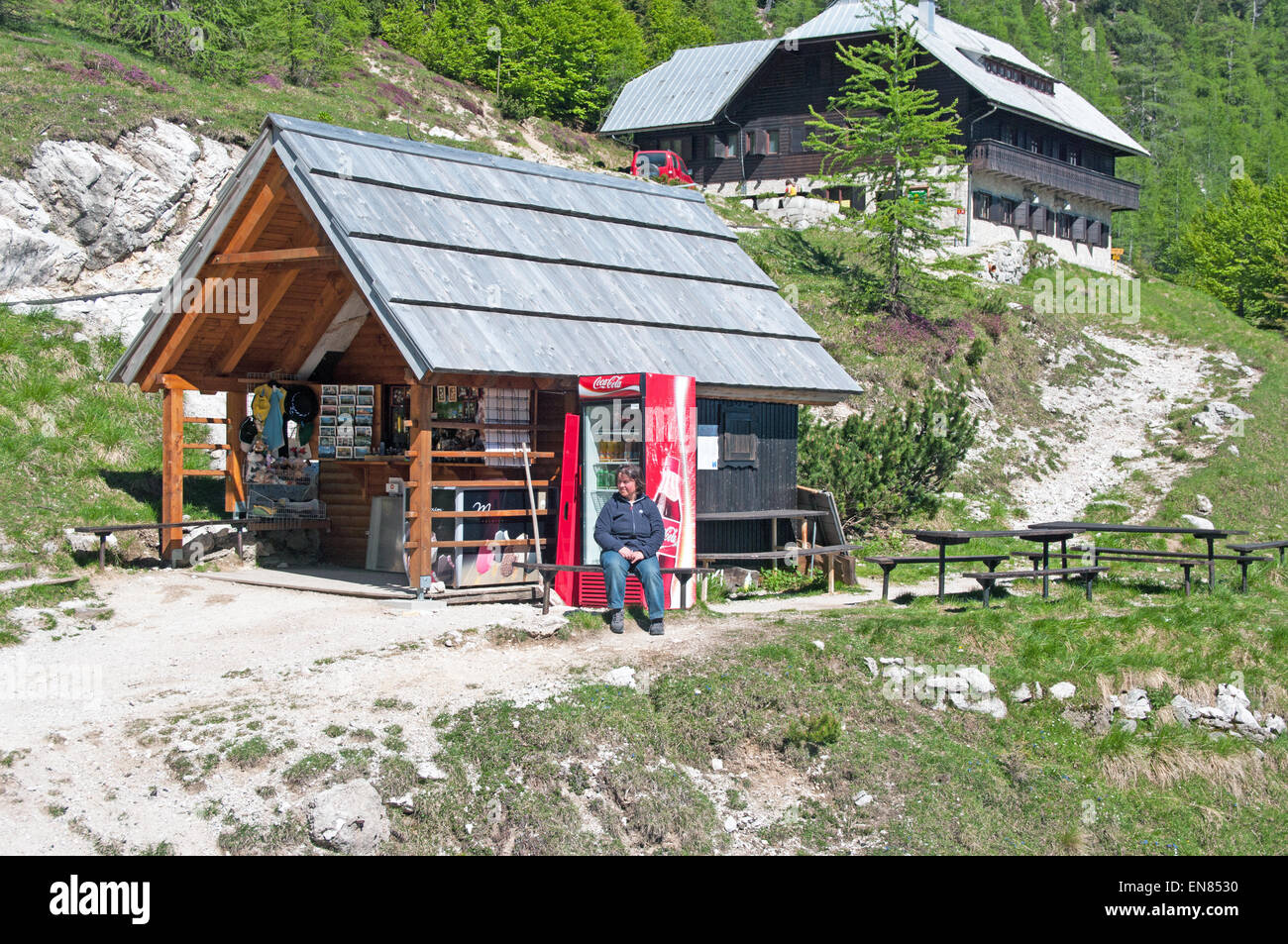 Mountain Stall Lepena Canon, (Valley) Running Through Triglav National ...