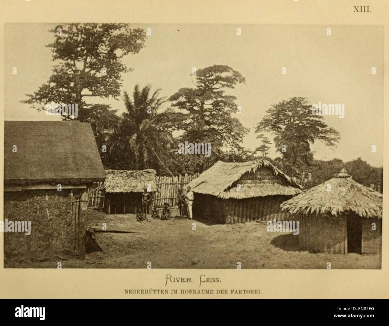 This 1890 work by Ttikofer documents the River Cess region in Liberia ...