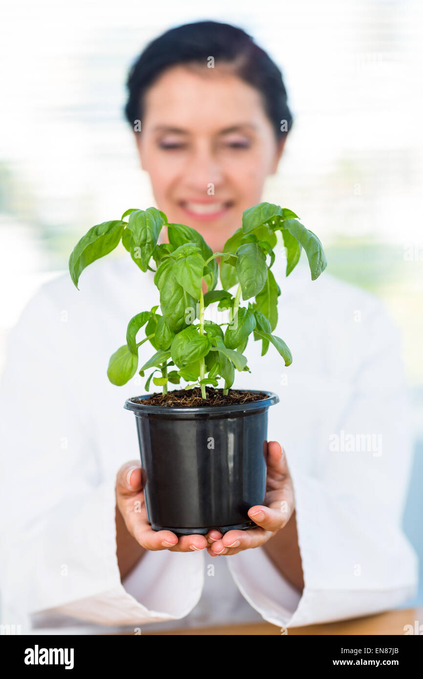 Biologist laboratory plant hi-res stock photography and images - Alamy