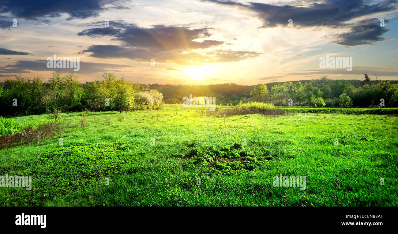 Green landscape sunrise green color hi-res stock photography and images ...