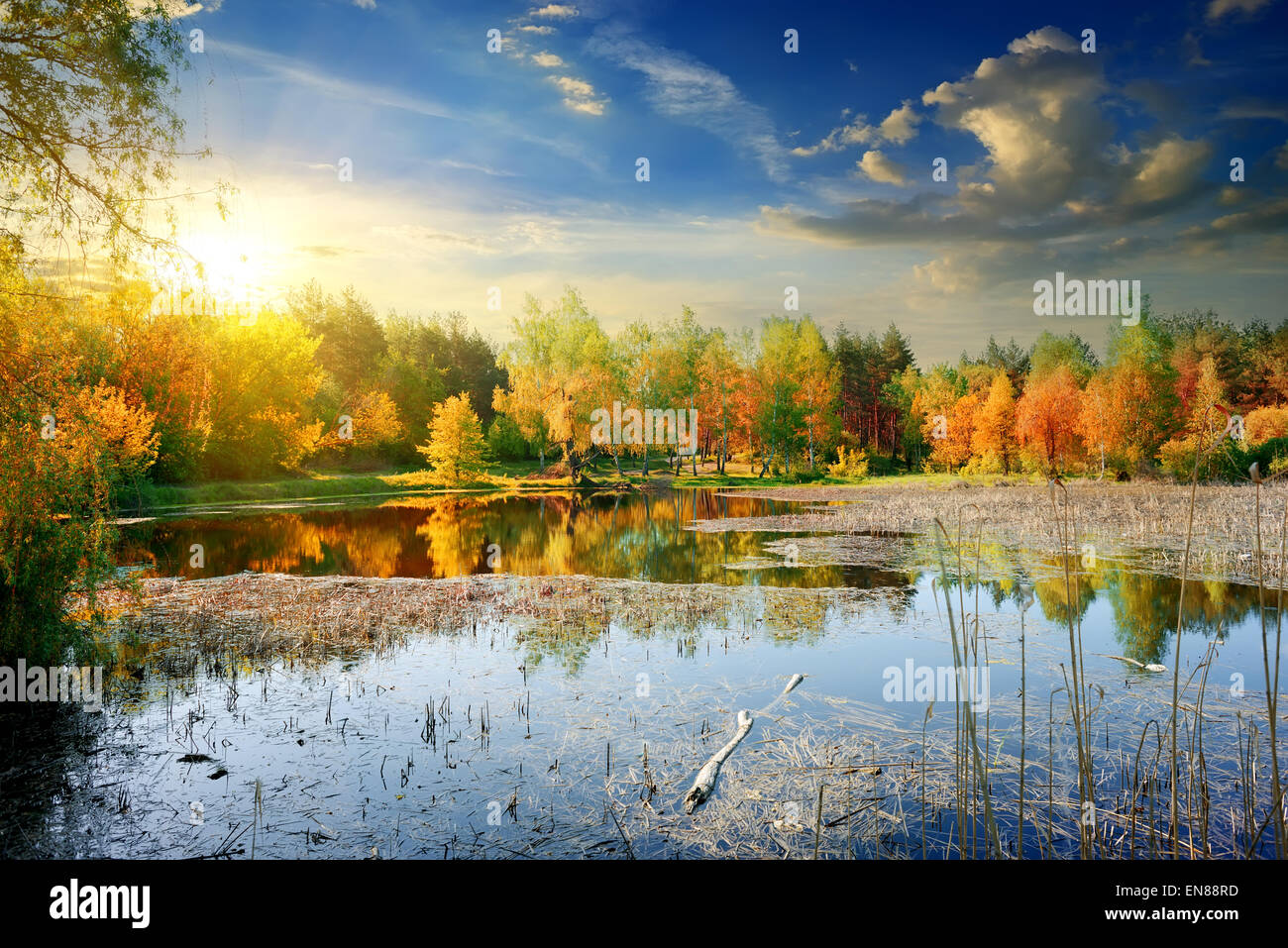 Calm yellow hi-res stock photography and images - Alamy