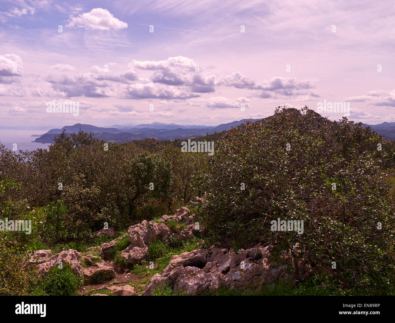 Laga northern spain hi-res stock photography and images - Alamy