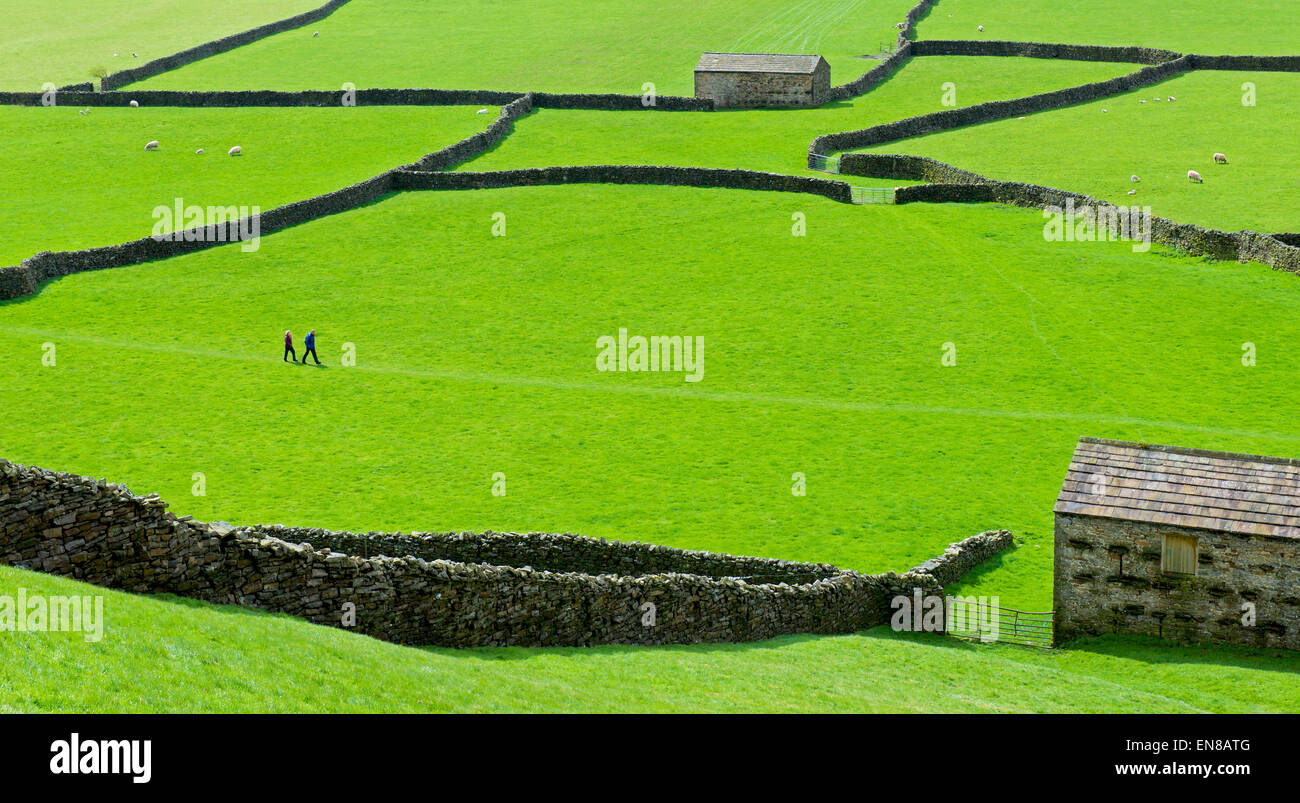 Field barn, dry stone walls and two walkers, Gunnerside, Swaledale ...