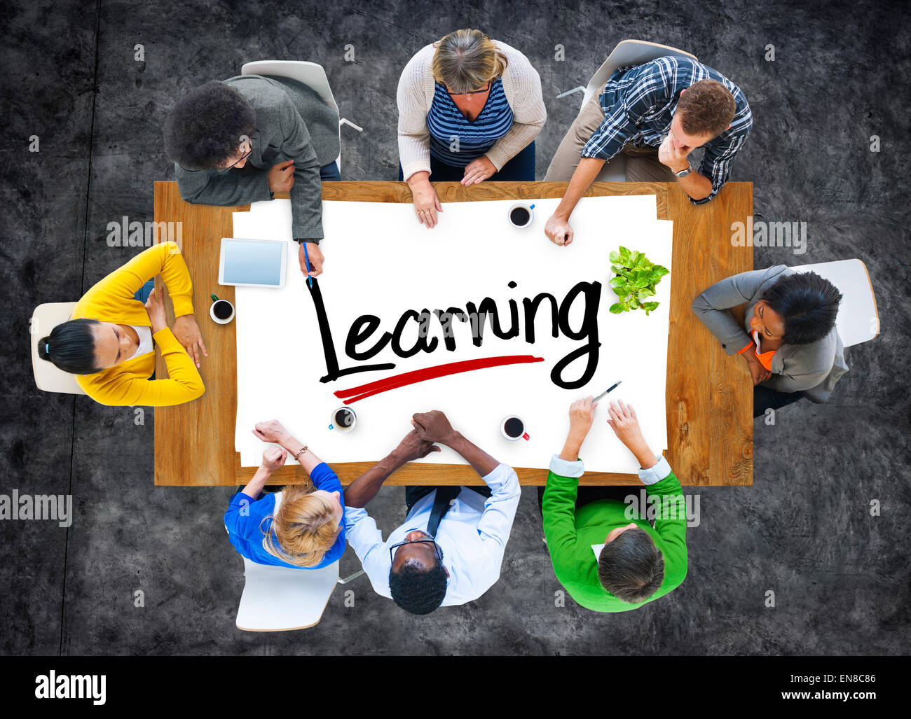 Multiethnic Group of People Discussing About Learning Stock Photo - Alamy