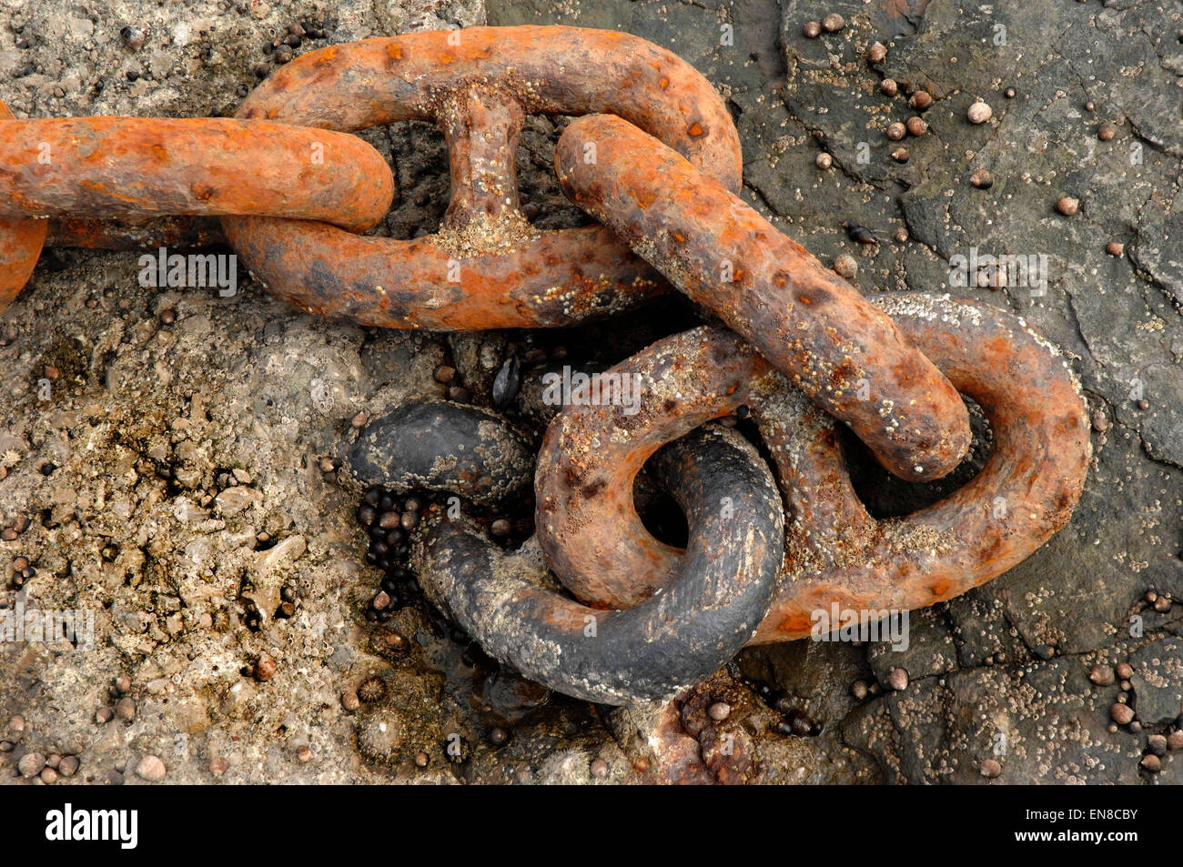 Rusty anchor chain Stock Photo - Alamy
