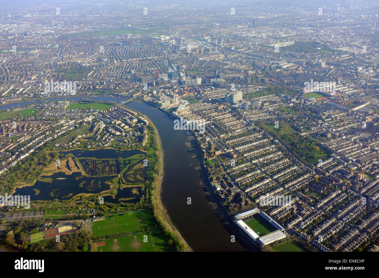 craven - Word of the Day - English - The Free Dictionary Language Forums