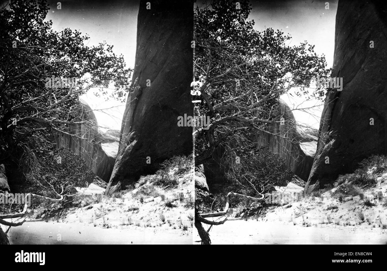 A side ravine in Glen Canyon showcases the unique geological features ...