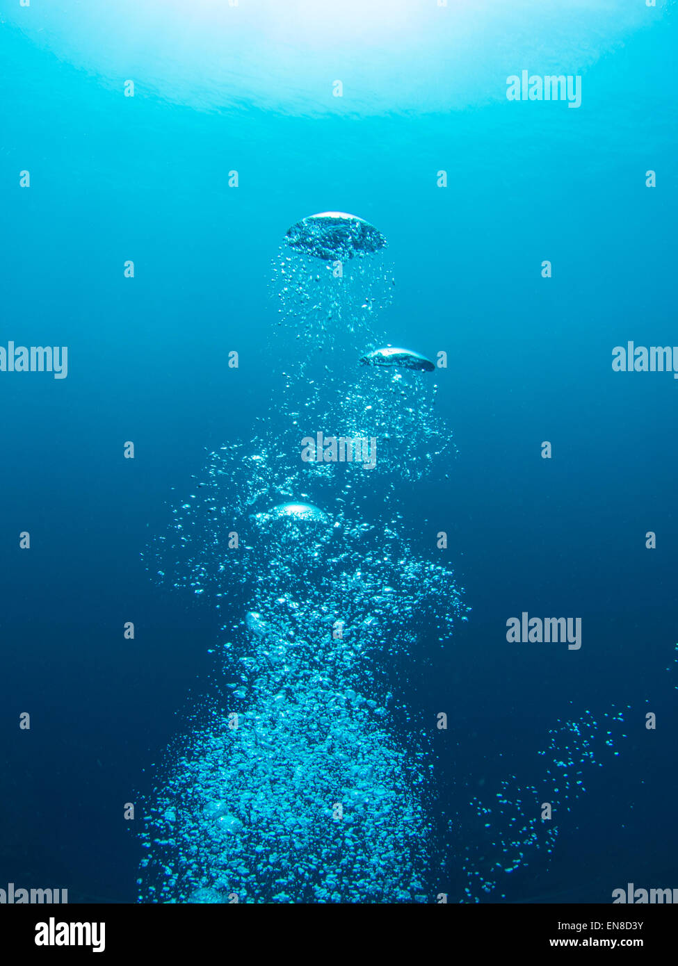 Bubbles from a SCUBA diver slowly rise to the surface, expanding and ...