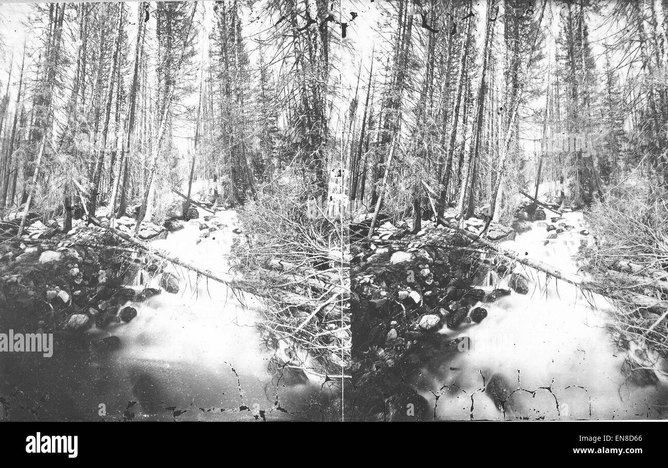 Left in nature Black and White Stock Photos & Images - Alamy