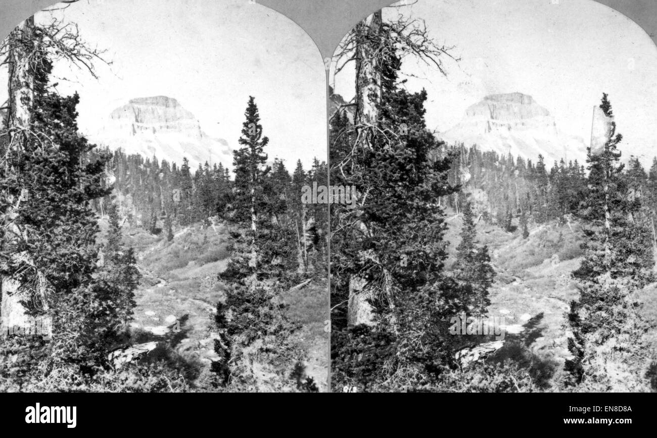 A stereoscopic image from 1875 captures a view of Uncompahgre Peak from ...