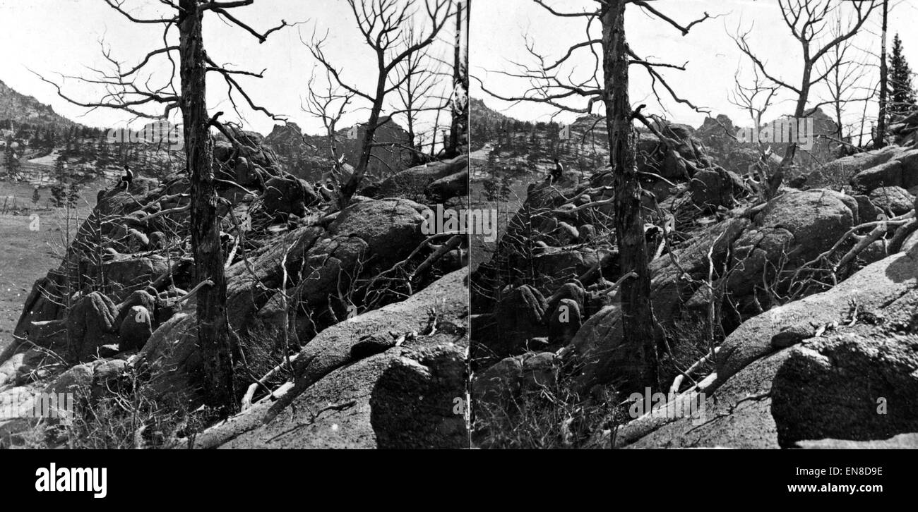 This landscape painting offers a view of the area near the head of Crow ...