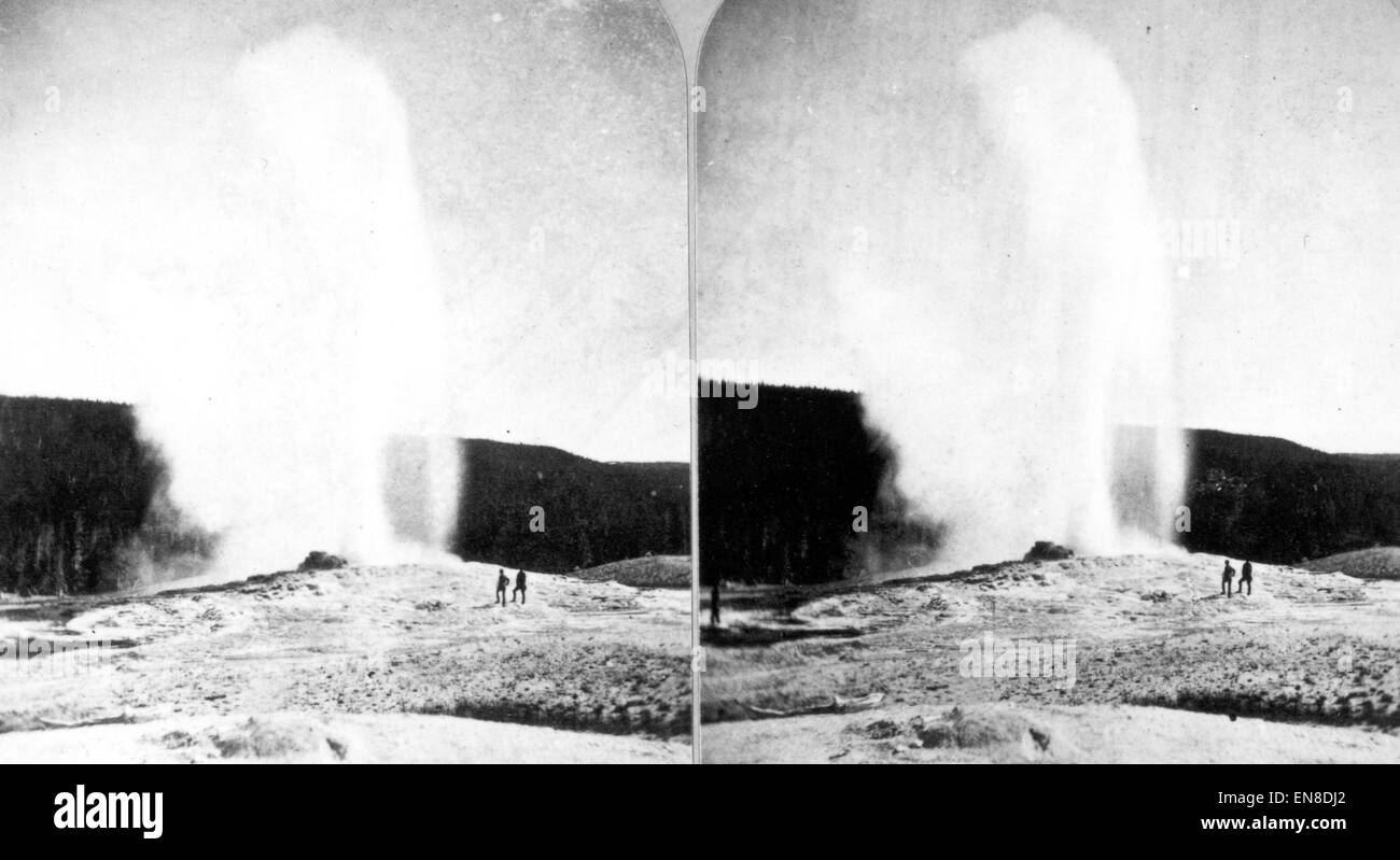Old Faithful, located in Yellowstone National Park, Wyoming, is one of ...