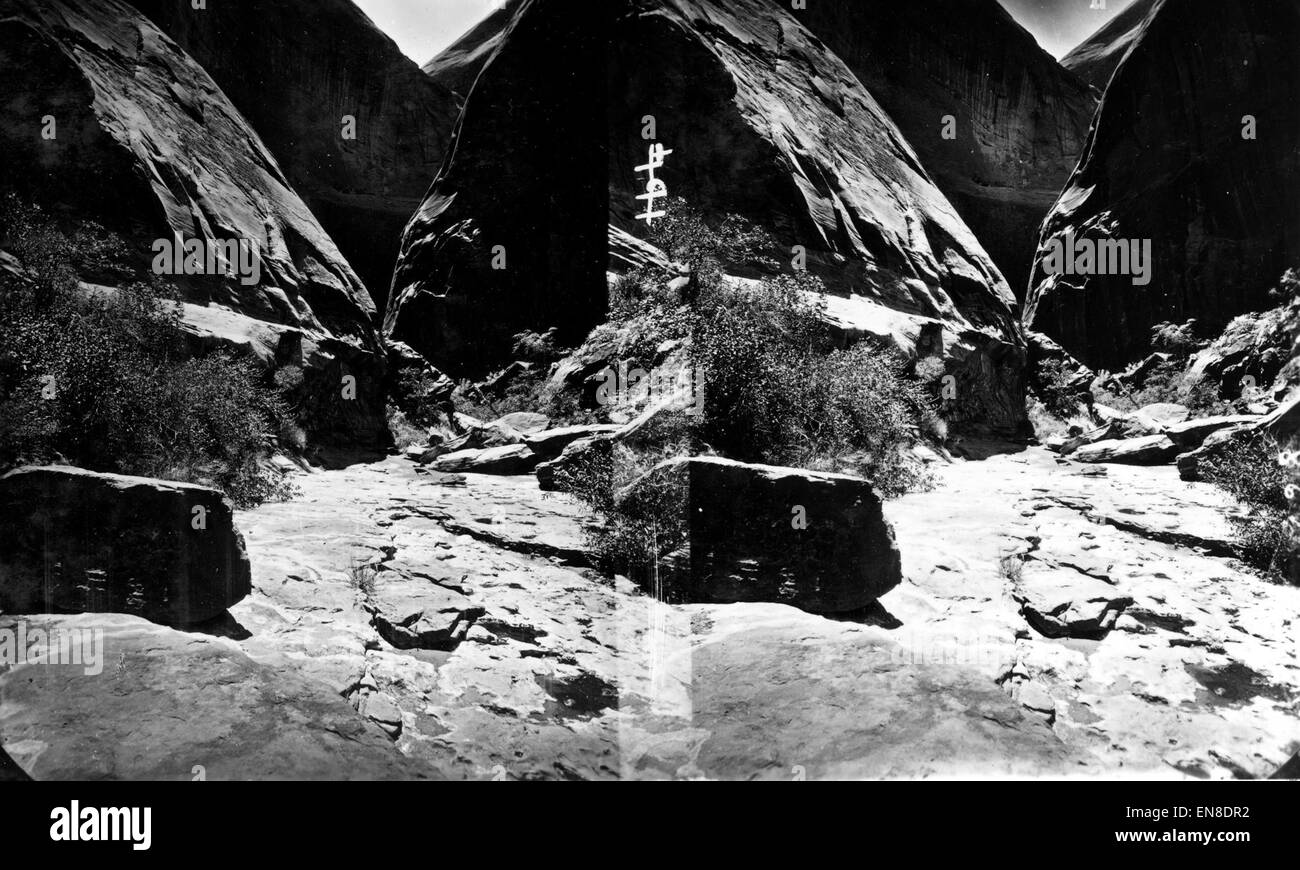 This photograph captures a side ravine in Glen Canyon, along the ...