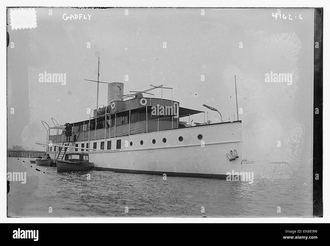 Gadfly Black and White Stock Photos & Images - Alamy