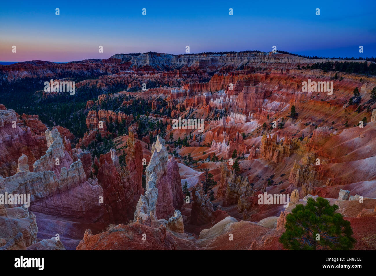 bryce canyon, ut Stock Photo - Alamy