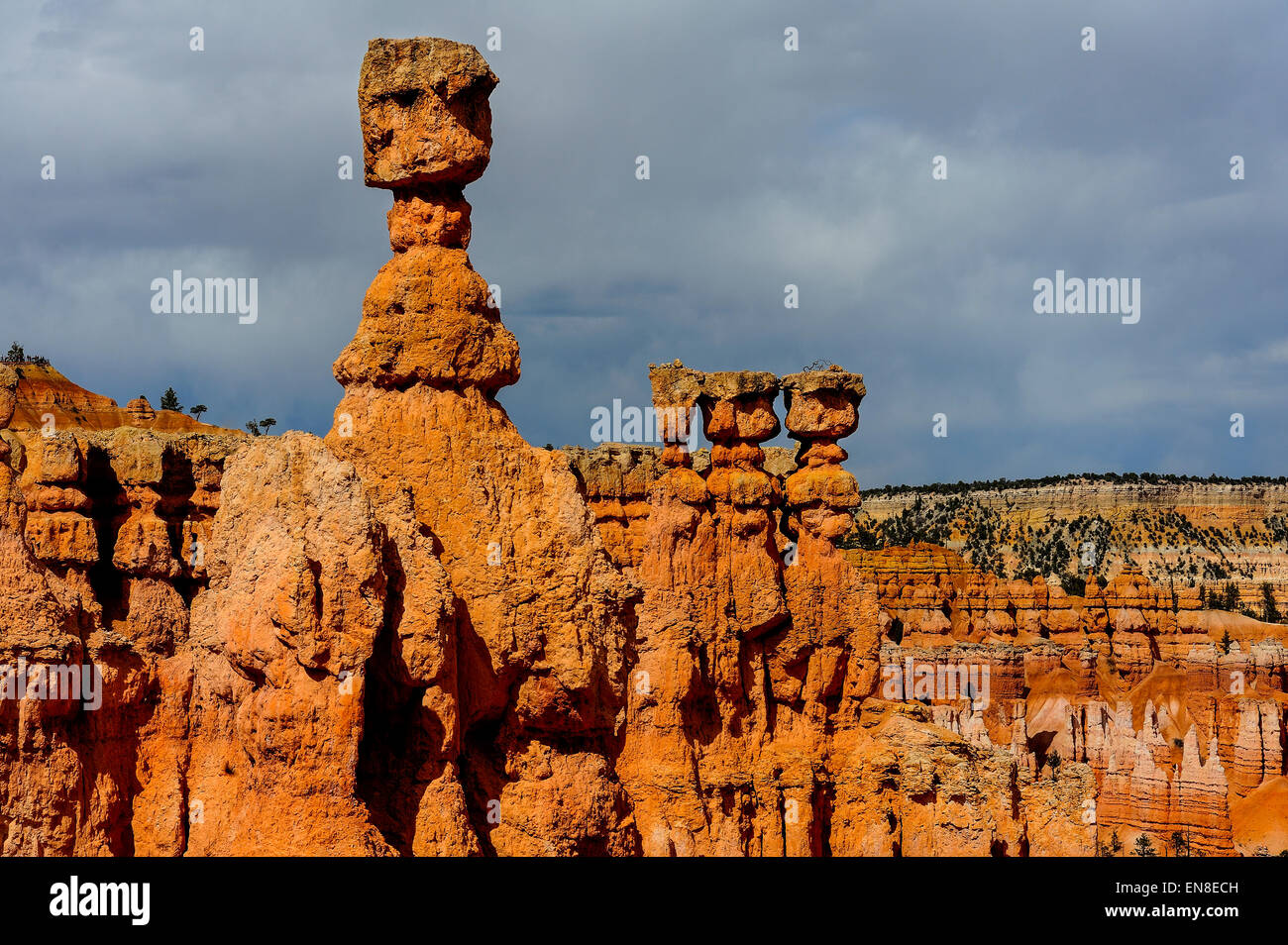 bryce canyon, ut, usa Stock Photo - Alamy