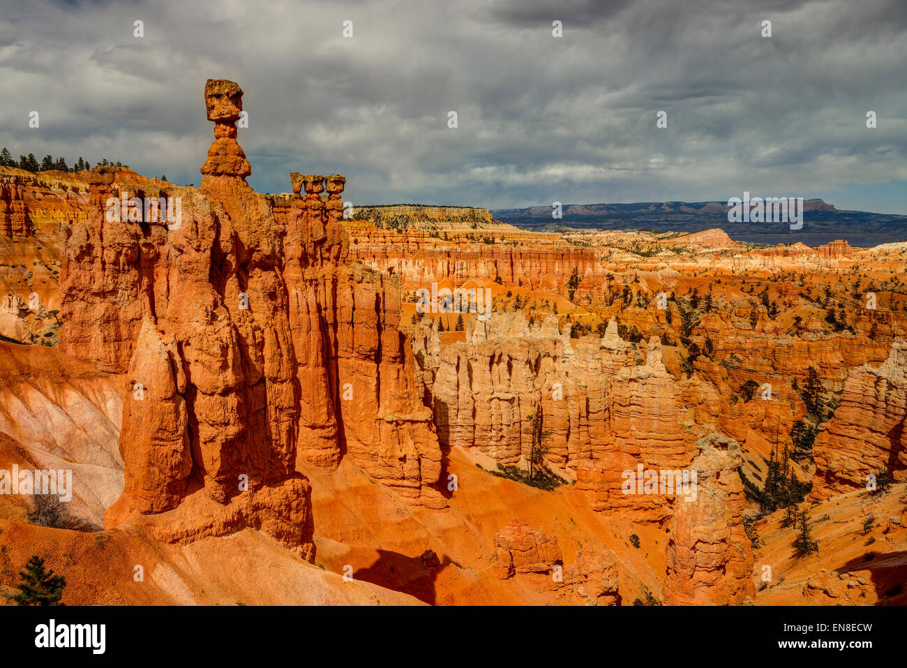 bryce canyon, ut Stock Photo - Alamy