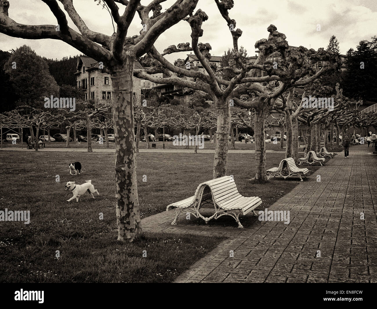 The Basque Country or Pays Basque is an autonomous community of ...